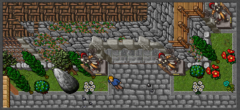 E-Tibia (8.6 custom evolution) Mapping Theard | OTLand