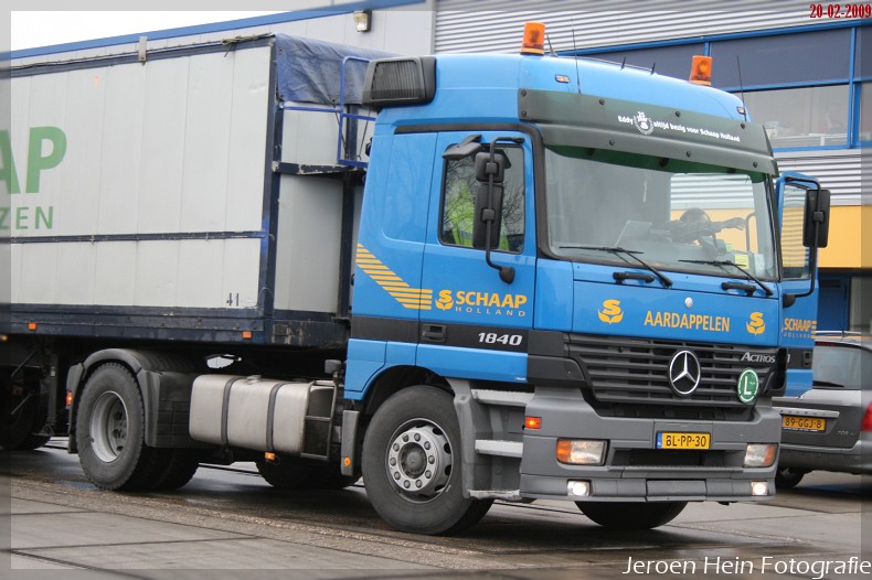 Schaap - Biddinghuizen - Transportfotos.nl