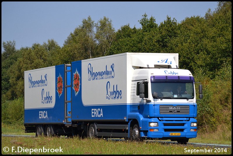 Lubbe Bloemenhuis - Erica - Transportfotos.nl